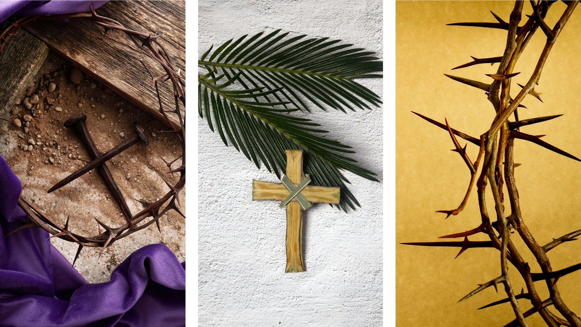 Pray with Nature: Echoes of Christ's Passion in Creation - Laudato Si ...